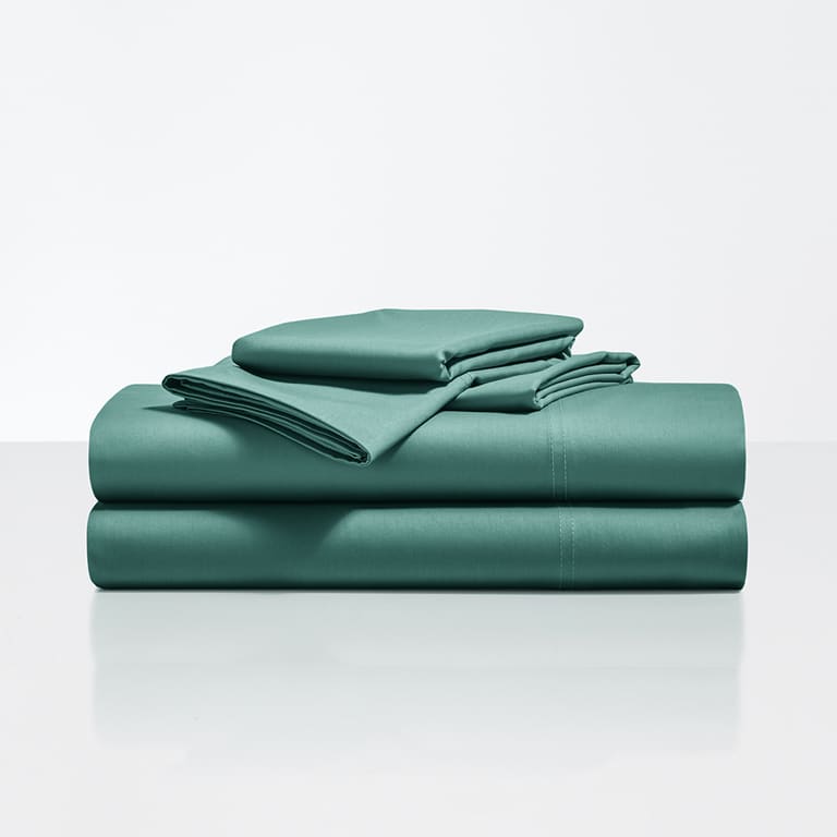 spreadsheet bedsheet